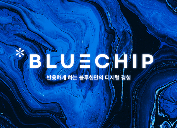 춘천 홈페이지제작 (주)블루칩 BLUECHIP